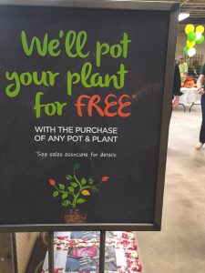 Adorable Succulents, The Perfect Garden Center, a New Neighborhood ...