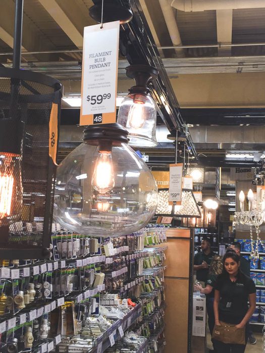 Adorable Succulents, The Perfect Garden Center, a New Neighborhood ...