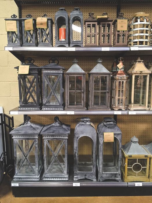 Adorable Succulents, The Perfect Garden Center, a New Neighborhood ...