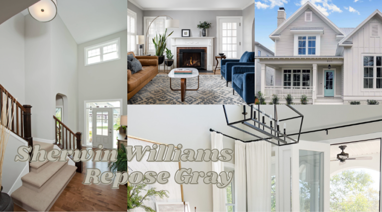 Sherwin Williams Repose Gray - Popular Neutral Gray