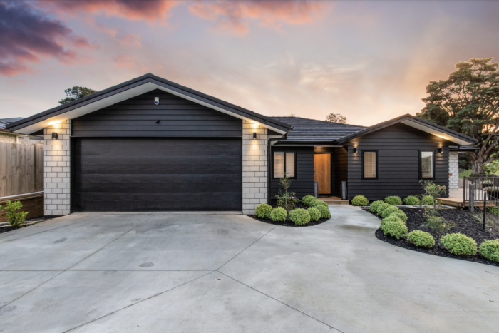 Black Houses - Modern and Stylish Black Painted Houses