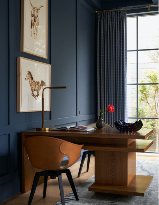Navy Blue Accent Wall: Design Inspiration