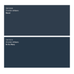 Sherwin Williams Naval - Deep Navy Blue Paint Color