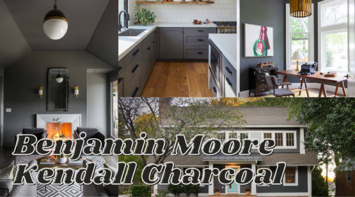 Kendall Charcoal - A Rich Charcoal Gray