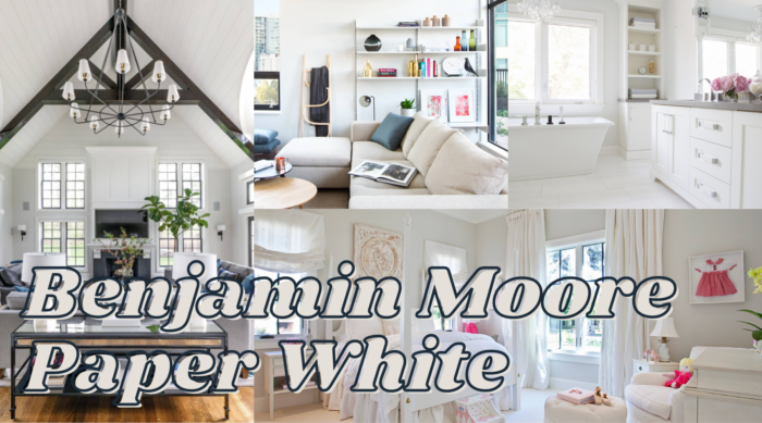 Benjamin Moore Paper White - A Subtle Light Gray