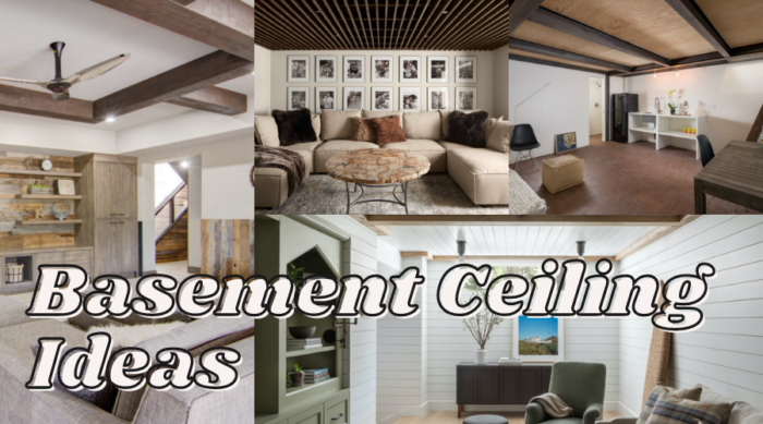 Basement Ceiling Ideas and Inspiration