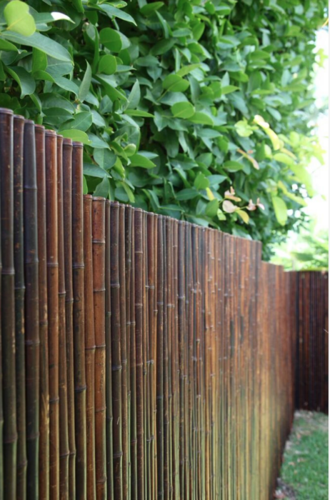 Chain Link Fence Privacy Ideas
