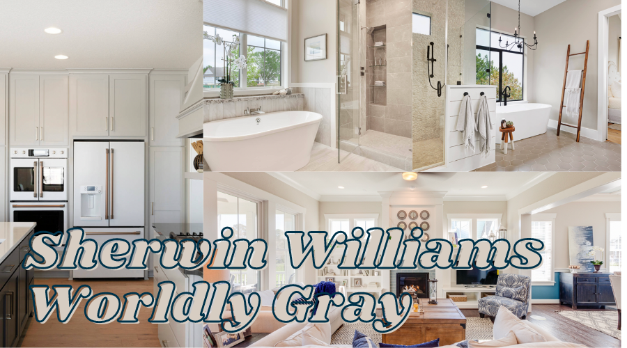Sherwin Williams Worldly Gray