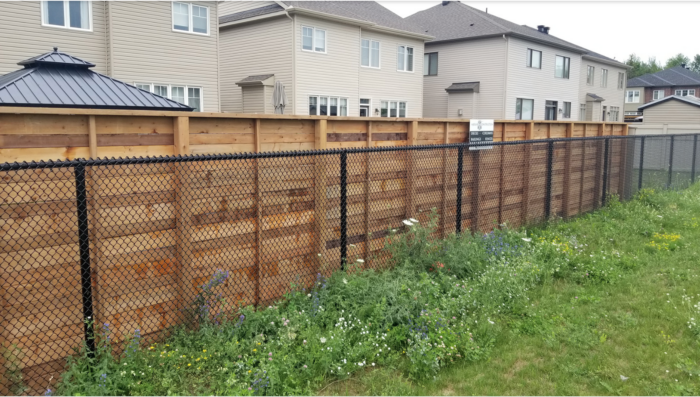 Chain Link Fence Privacy Ideas